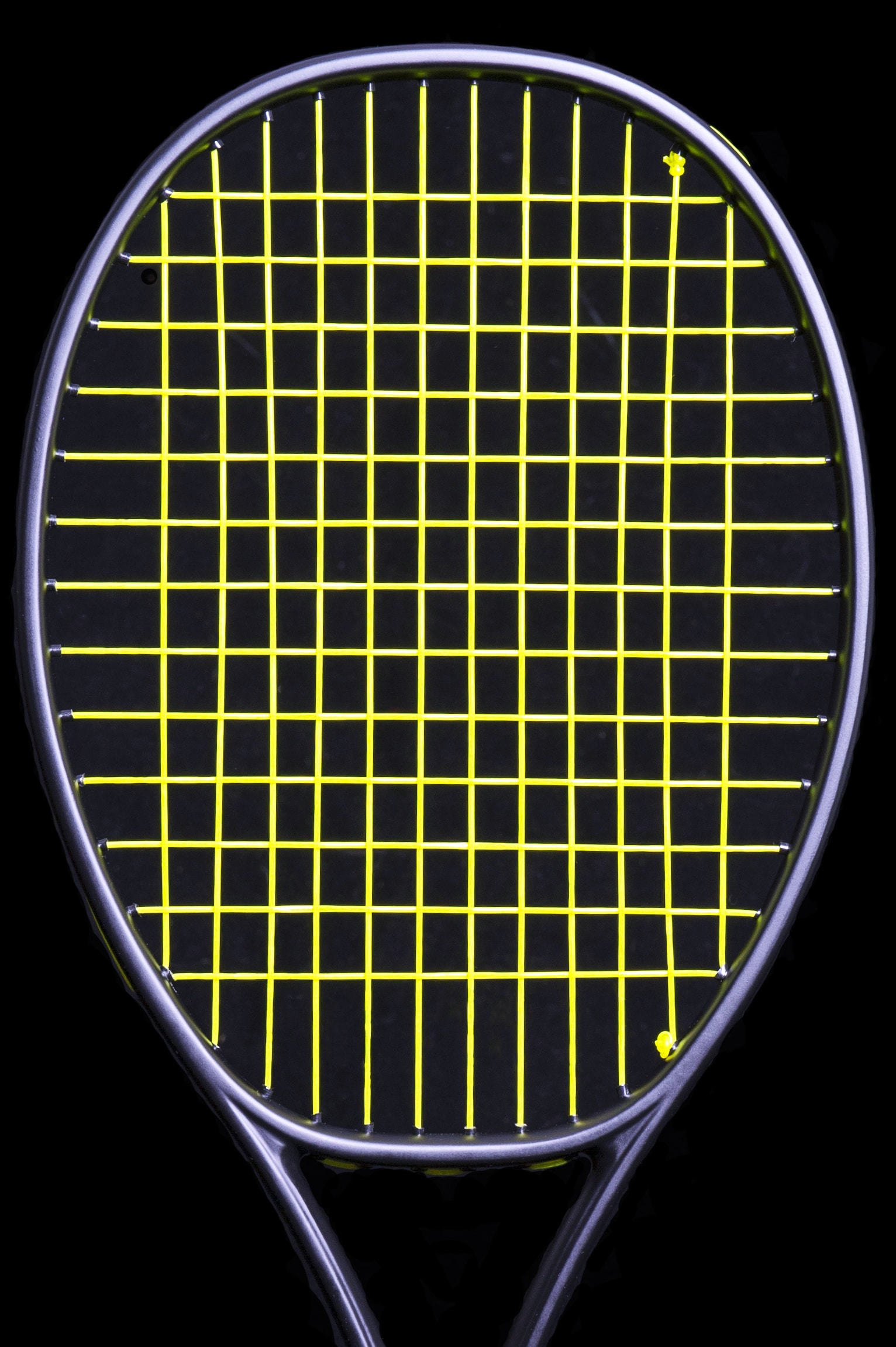 Gallery – Phillips Moore